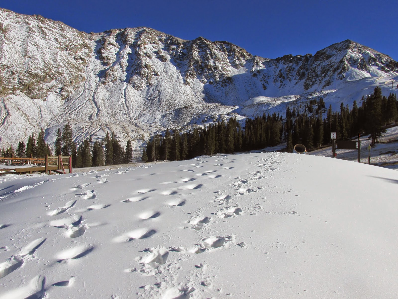 Al's Blog: Man, There's A Lot Of Snow